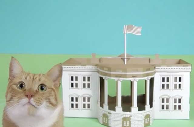 Poopy Cat lance de jolies maisons (en carton) pour vos animaux de ...