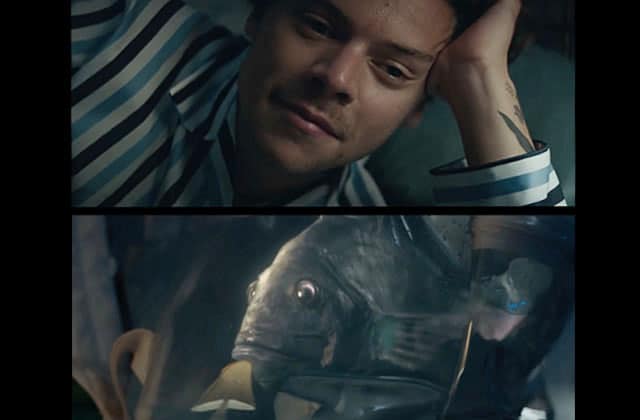 Harry Styles Adore You : Harry sauve un poisson sur L'île d'Erodia