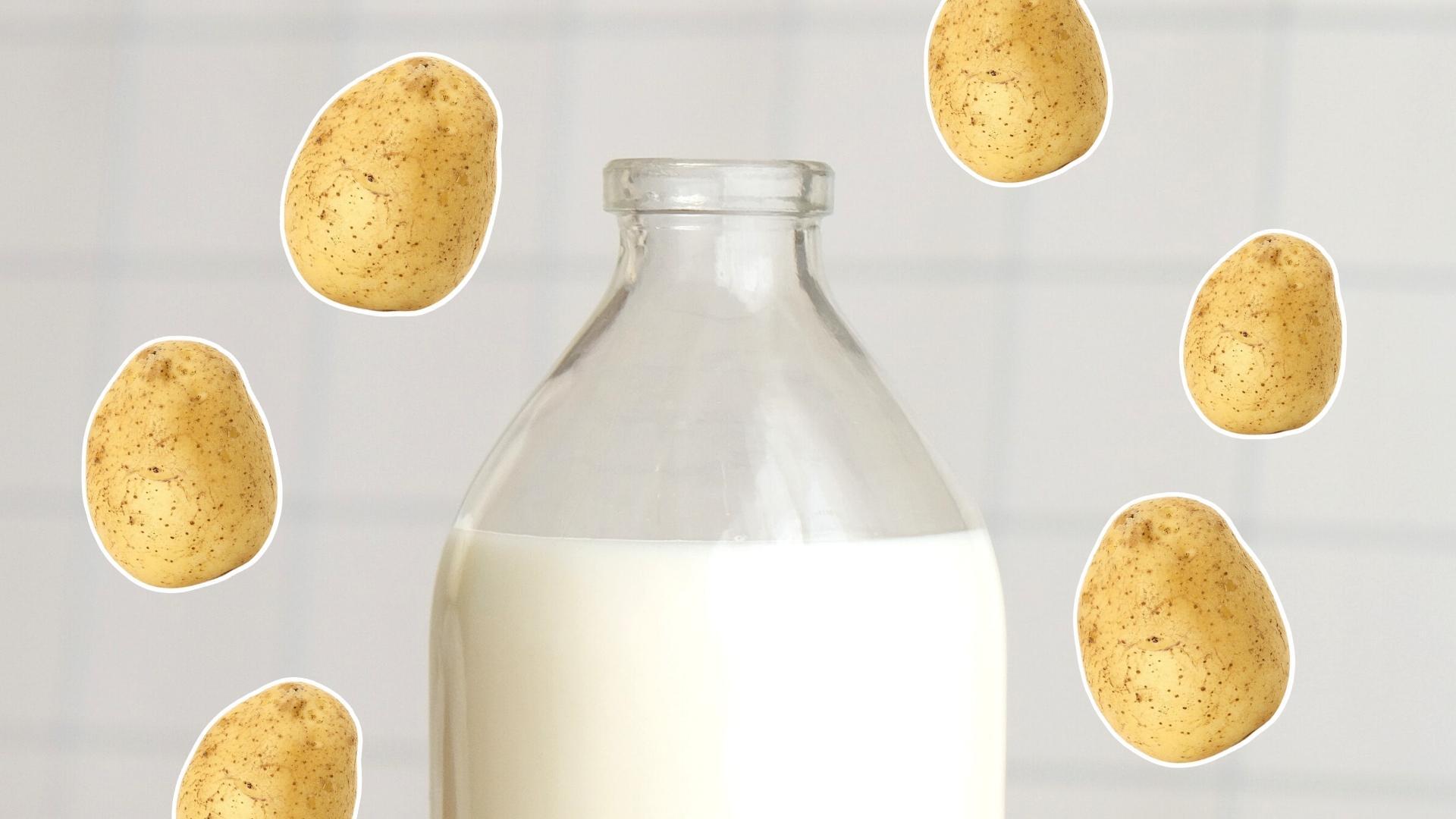 Le lait de pomme de terre sera-t-il le nouveau jus hype à ajouter aux ...